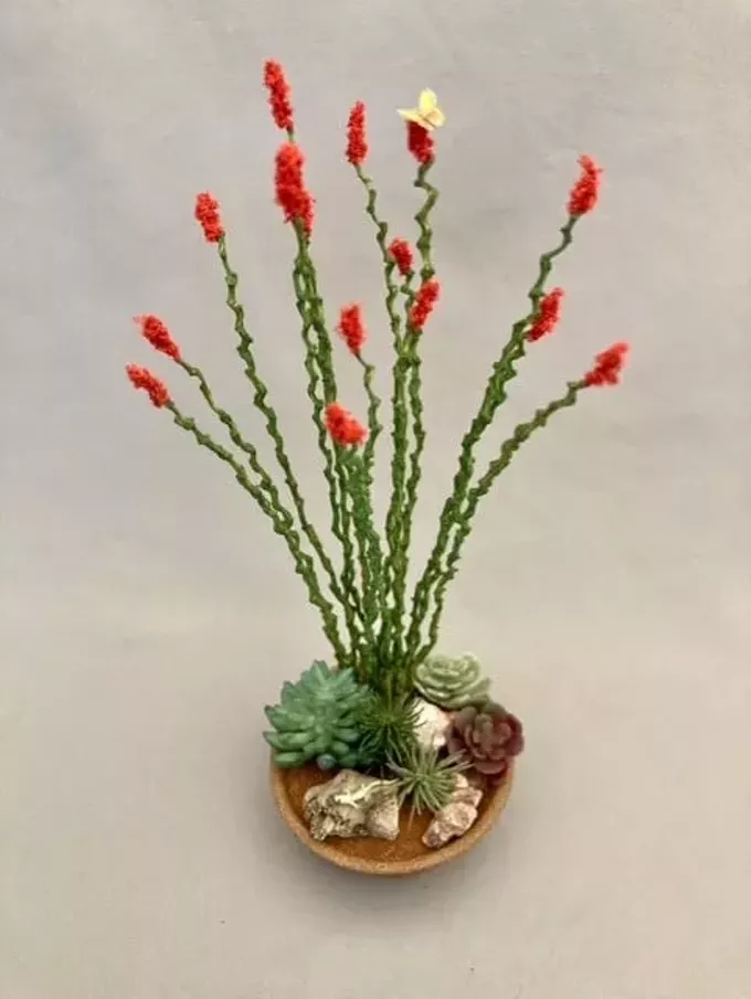 Craft Your Own Mini Ocotillo! – LGBTQIA+ Desert Miniatures Workshop ...